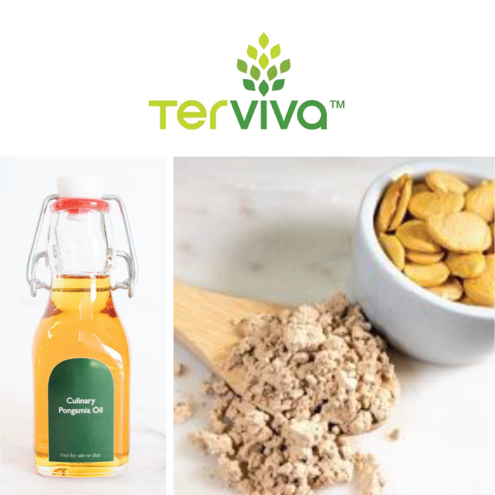 Ingredient Discovery & Applications - Mattson